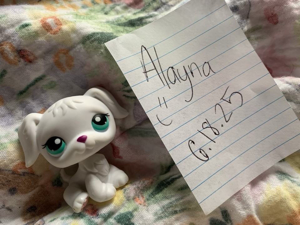 HTF ! White Retriever LPS | eBay