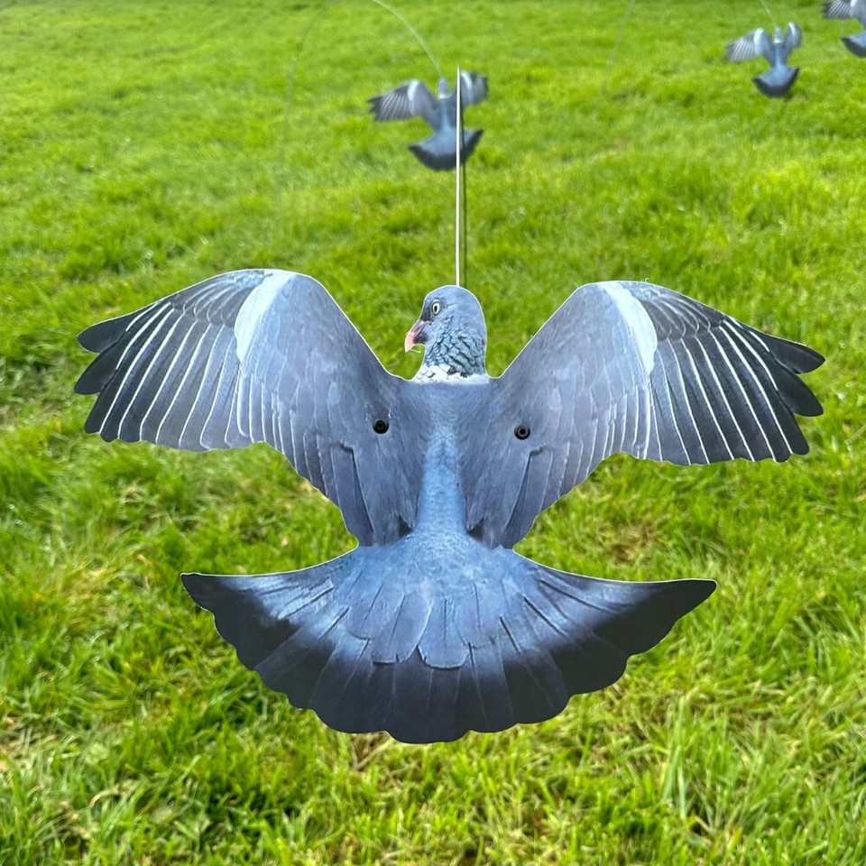 Flying Pigeon Deceiver Decoy Floater Realistic Pattern NOW IN MATT ...