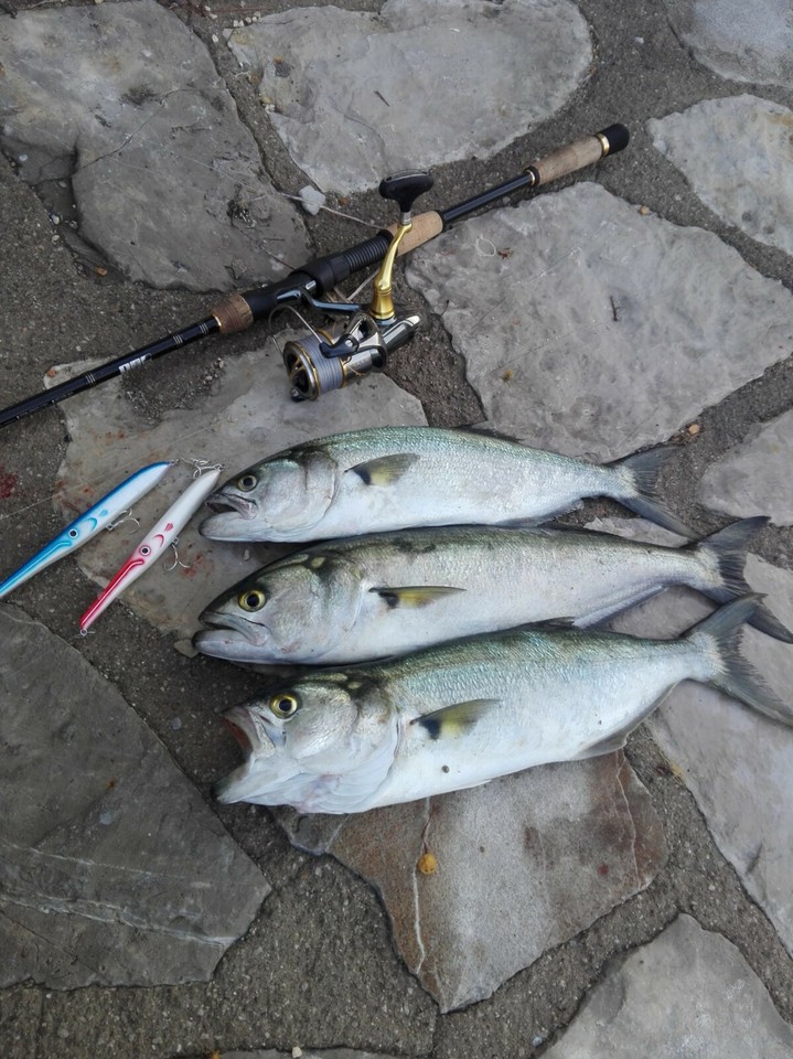 Spasm Needlefish Lure Salt Water Handmade Blue Gray 20cm (8inc) | eBay