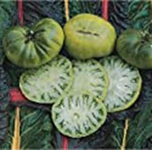 Aunt Ruby's German Green Tomato Seeds (((25 Seed Packet))) (More ...