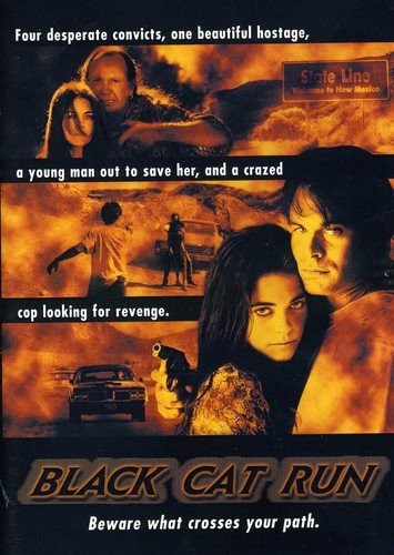 Black Cat Run (DVD) Jeffrey De Munn Patrick Muldoon Peter Greene Amelia ...
