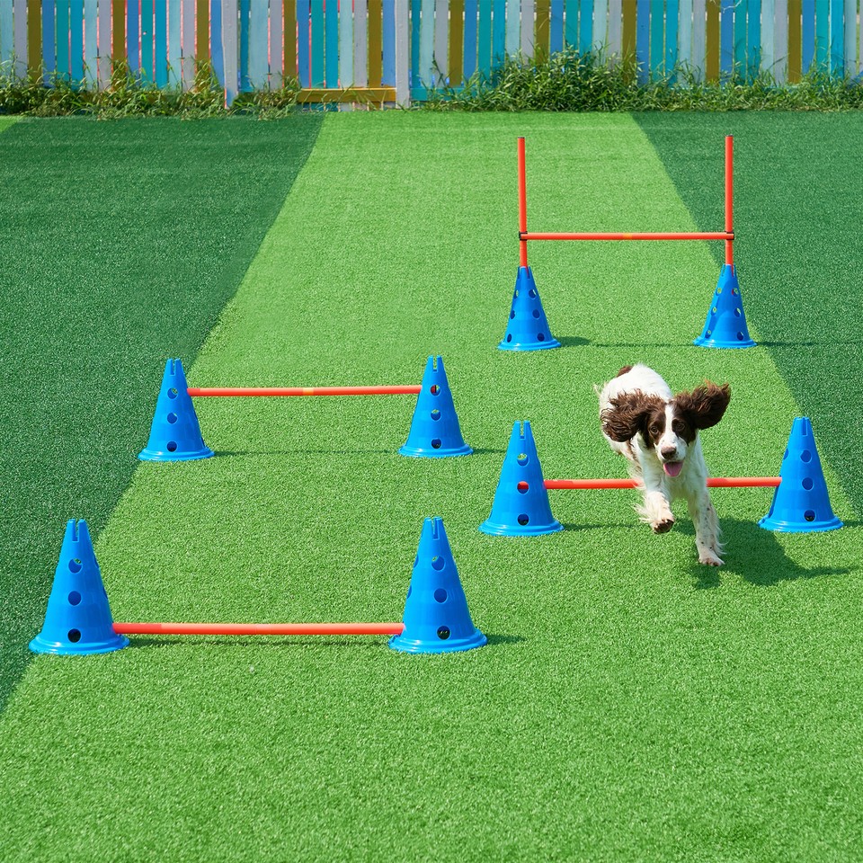 Dog Agility Training Hurdle Cone Set 6 PCS Kit-12 xCones 6 xAgility ...