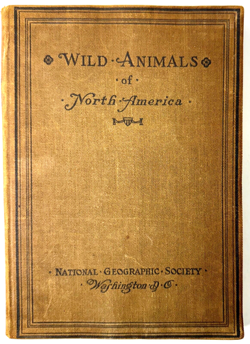 Wild Animals of North America, Edward W Nelson, 1918 | eBay