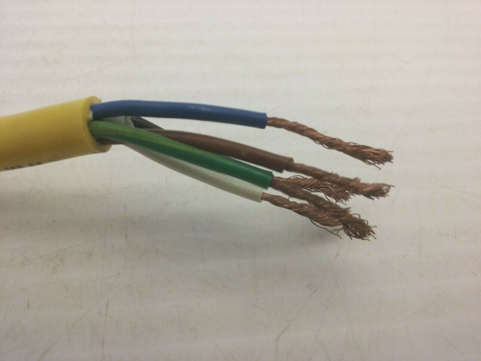 Turck 5-pin Cable Wk50-2m for sale online | eBay