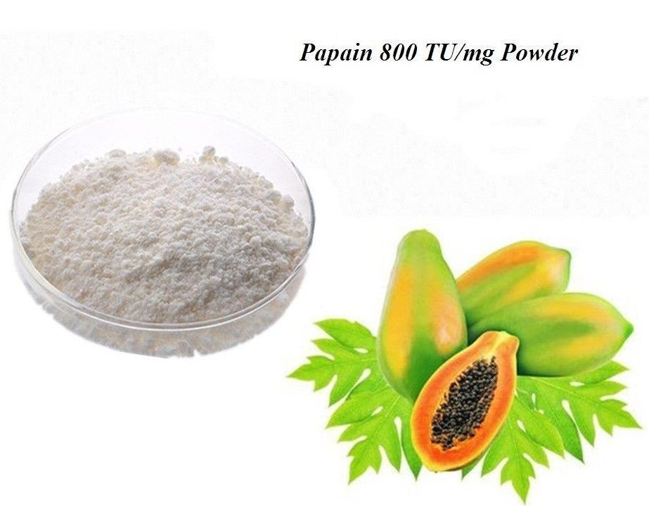 Papain 500 TU / 30,000 USP Papaya Fruit Extract Powder Digestive Enzyme ...