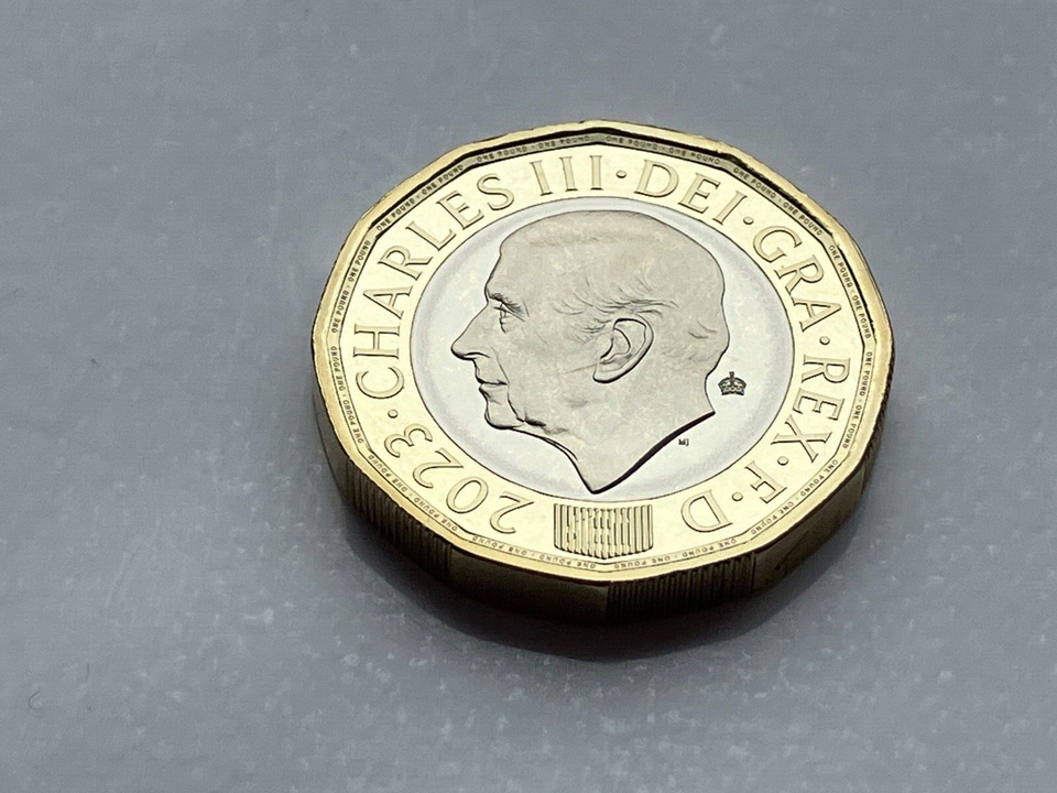 PROOF COIN 2023 1 ONE POUND BEES SPECIAL PRIVY IN HAND SOLD OUT | eBay UK