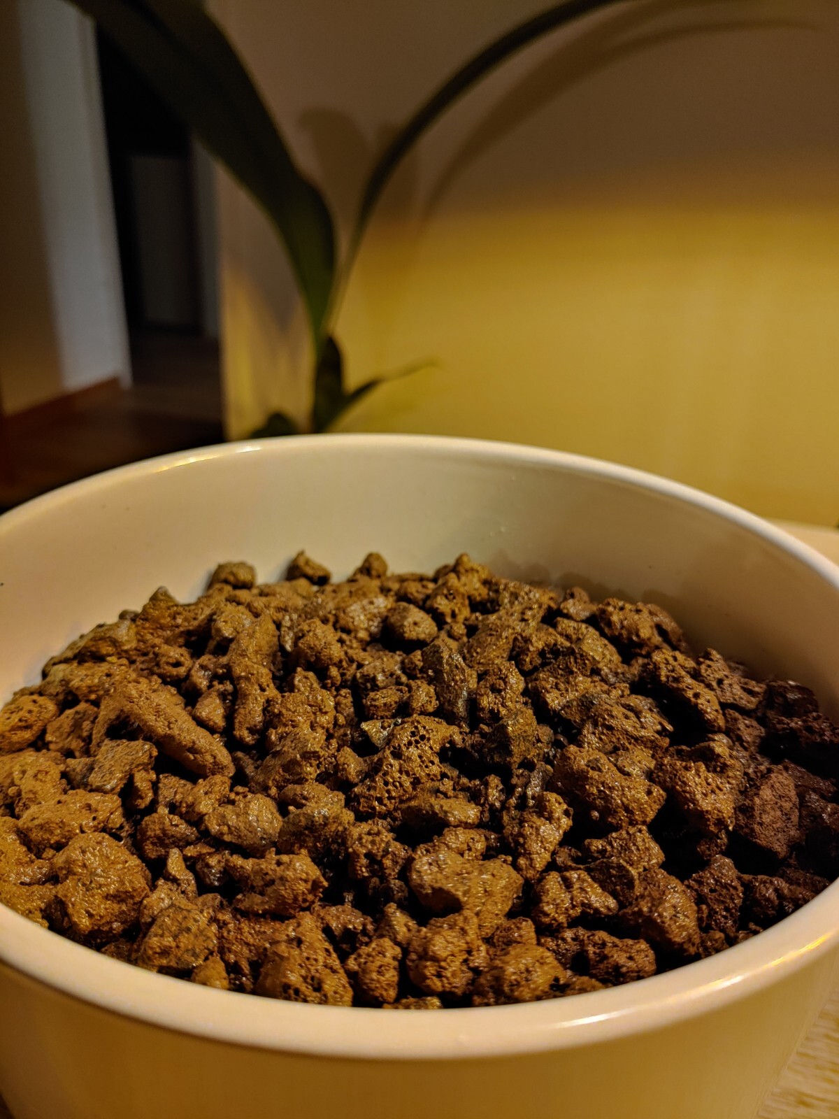 Lava Granulat - braun / Granulat / Mineralisches Substrat / 8- 16 mm ...