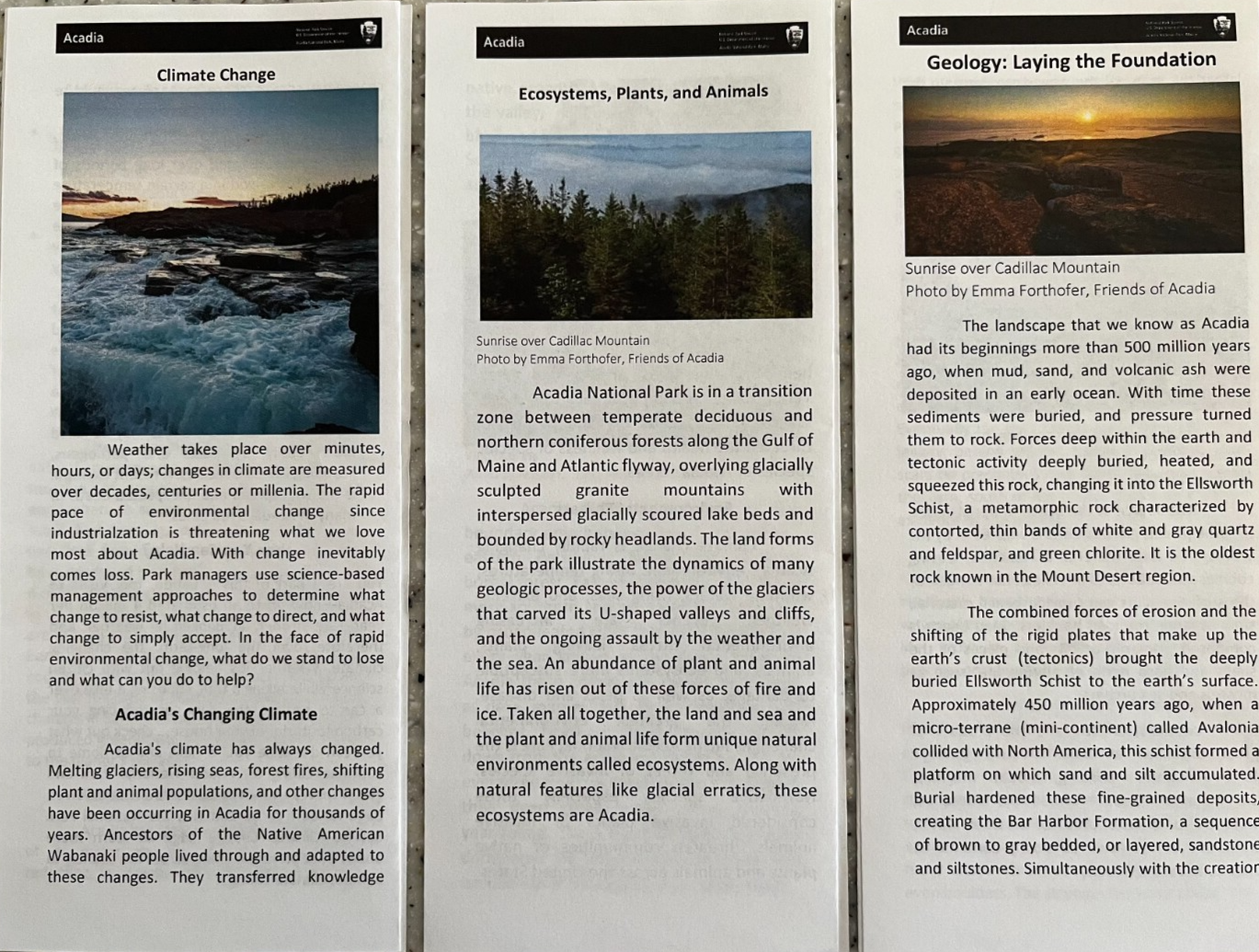 Lot of 3 ACADIA NP - ME NATIONAL PARK SERVICE UNIGRID BROCHURE Animals ...