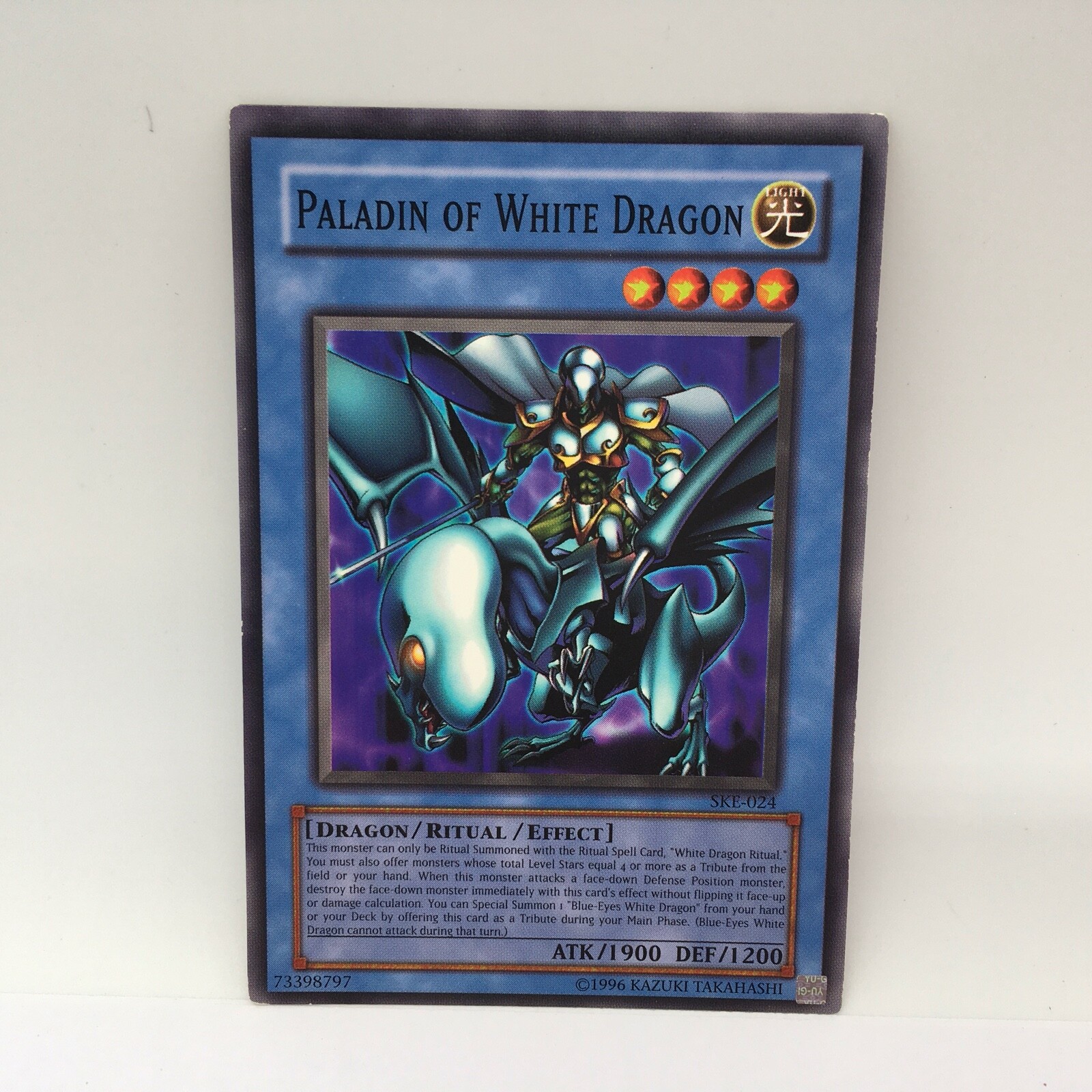 Paladin Of White Dragon