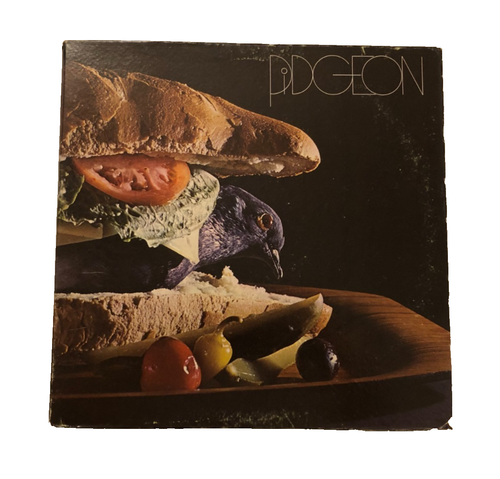 Pidgeon DL 75103 Stereo Decca Records Psychedelic Vintage 1969 LP Vinyl ...