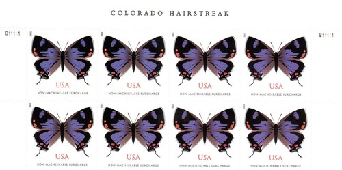 US Scott # 5568 COLORADO HAIRSTREAK (2021) Top Banner 8 MNH stamp NON ...