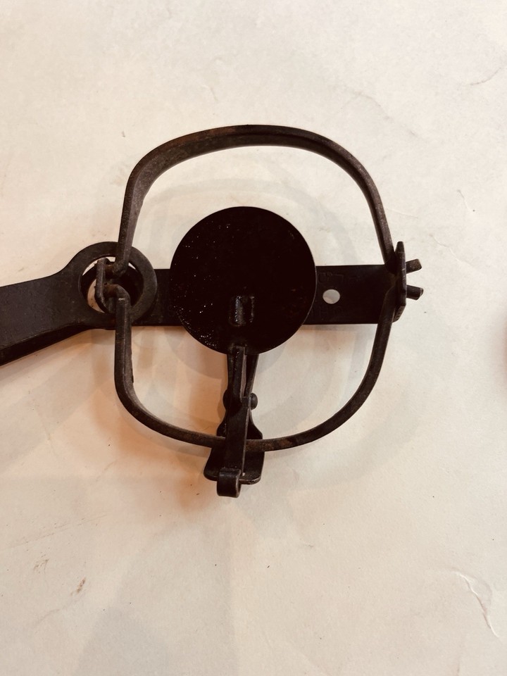 Triumph No. 0 Single Long Spring Animal Trap | eBay