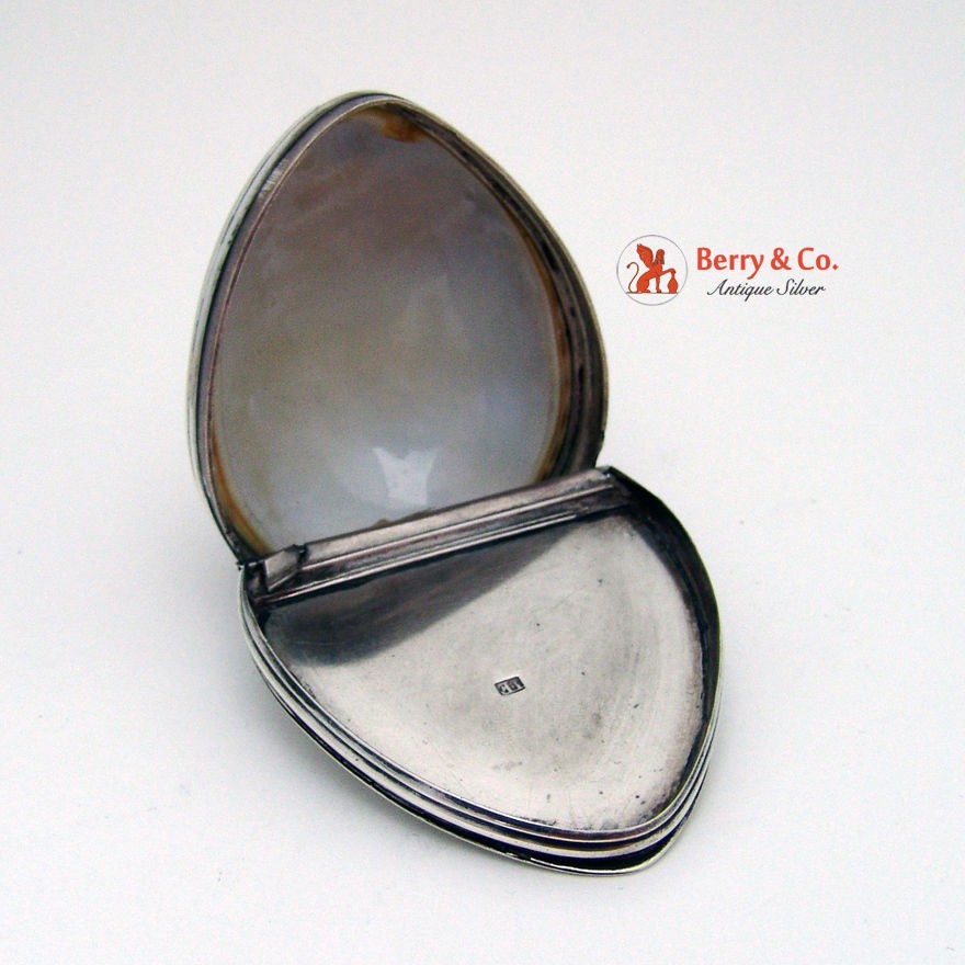 Irish Snuff Box Cowrie Shell John Egan 1800 Sterling Silver Mono PHR | eBay