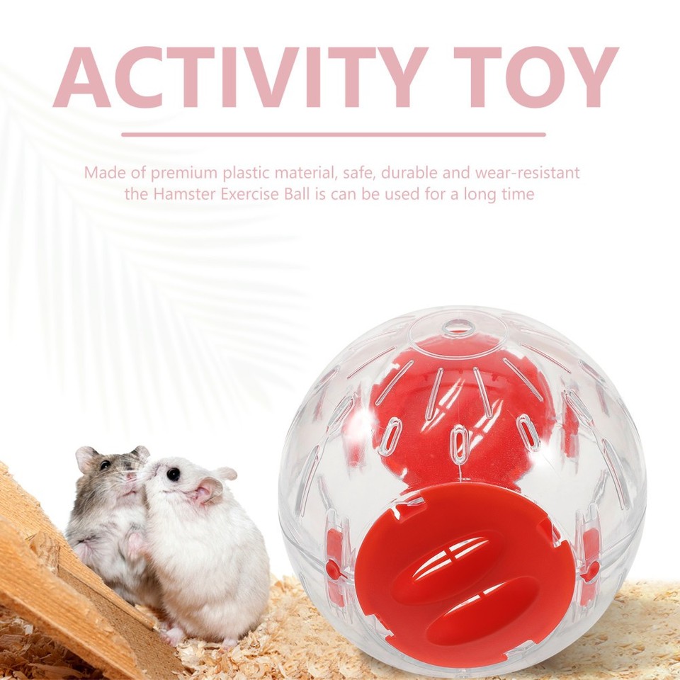 2 Pcs Pet Mice Accessories Hamster Activity Toy Toys Hamsters | eBay ...