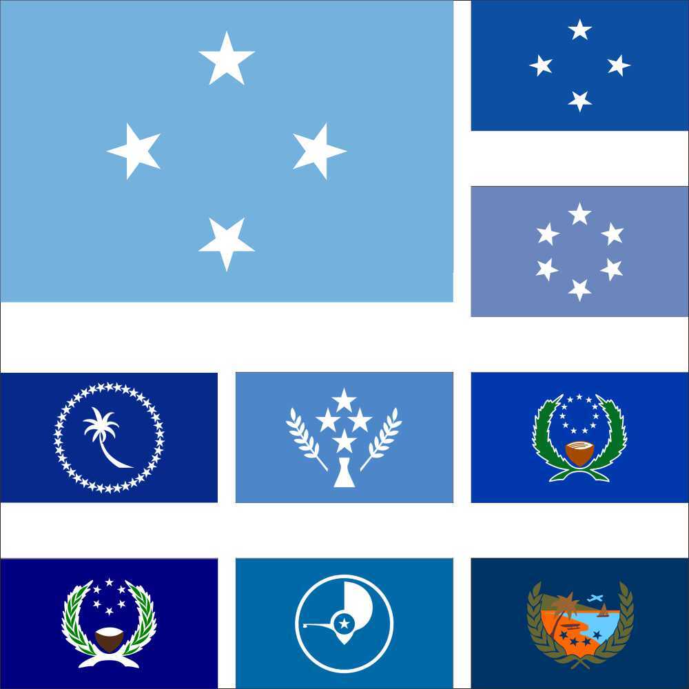 Micronesia Flag