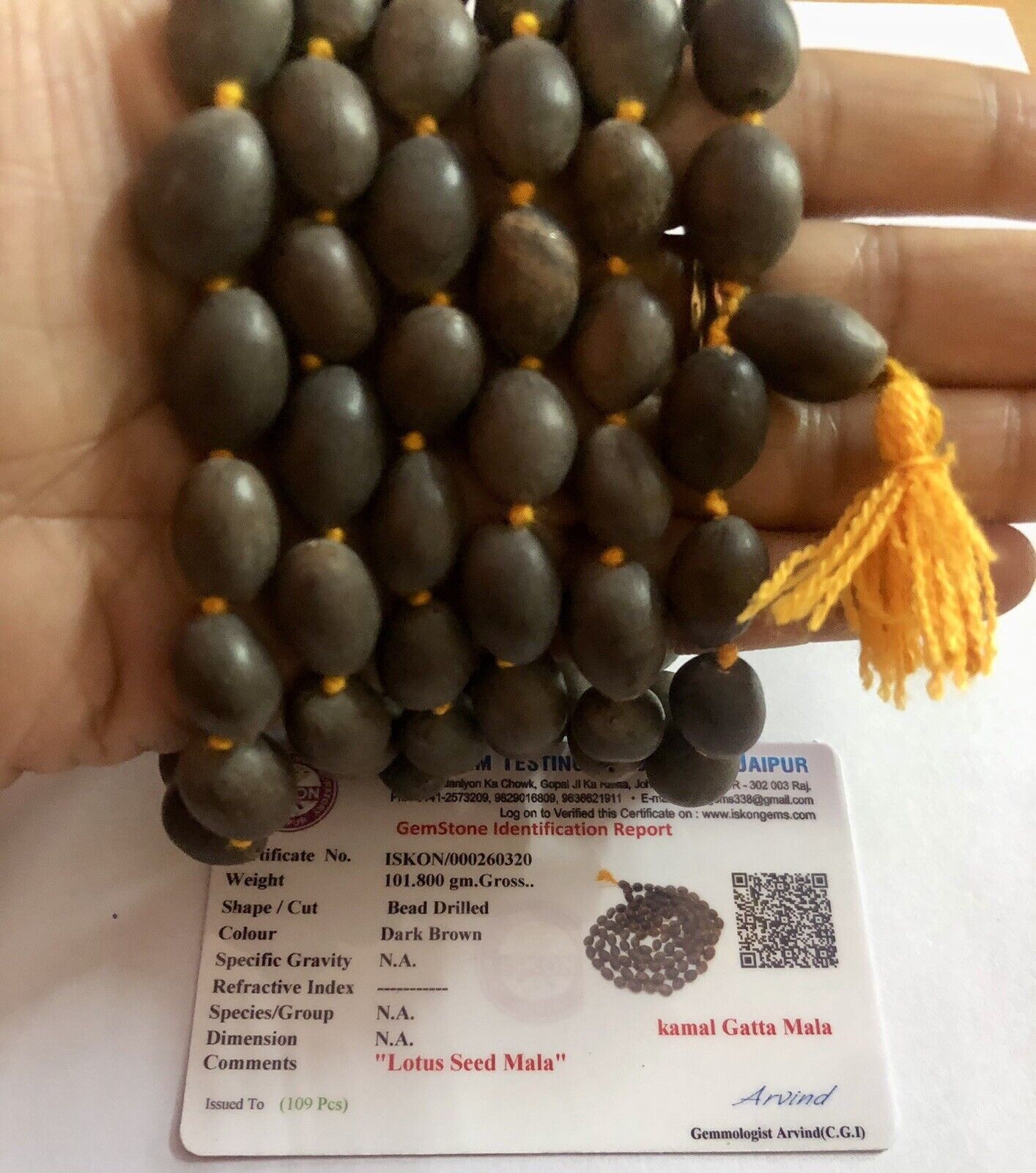 Lab Certified KAMAL GATTA Lotus Seed Mala ROSARY 108 Bead 68 inch ...