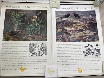 Superb Large Shell Guides Wildlife Posters Rare Complete Set Of 12 ...