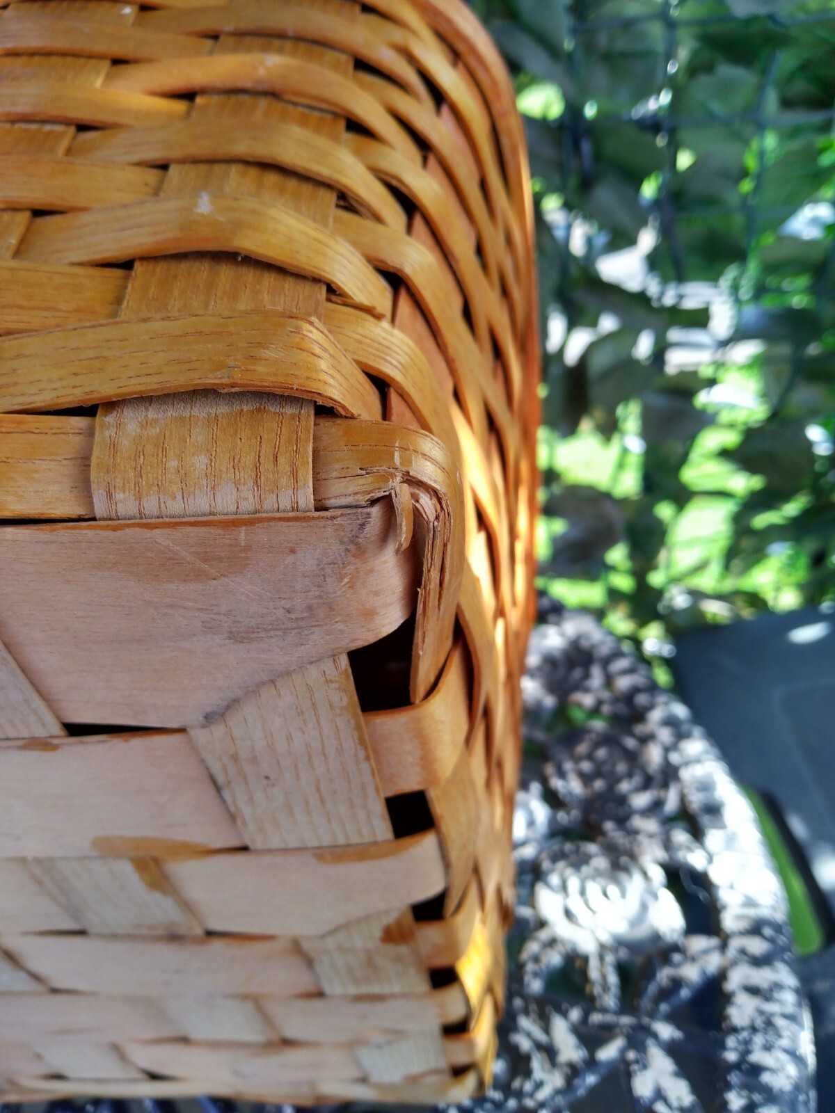 Vintage Rindge Pie Basket Hinge Lid Swivel Handles Mushroom Design New ...