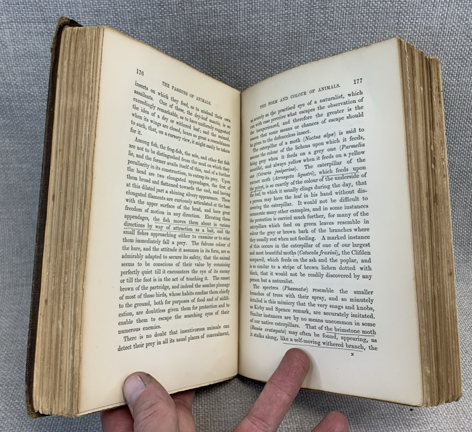 "The Passions of Animals" Edward P. Thompson (1851) HC Nature | eBay