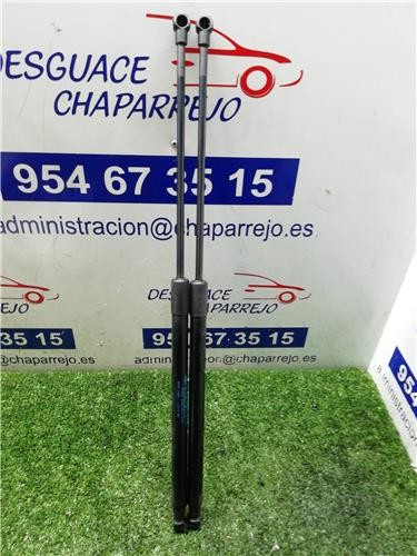 AMORTISSEUR ARRIÈRE Citroën C4 Picasso (UD/UE/UF) 2010 #600259 | eBay