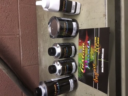 Pint Kit Of Purple Marble Custom Paint Hot Rod Motorcycle Autopaint Hok ...