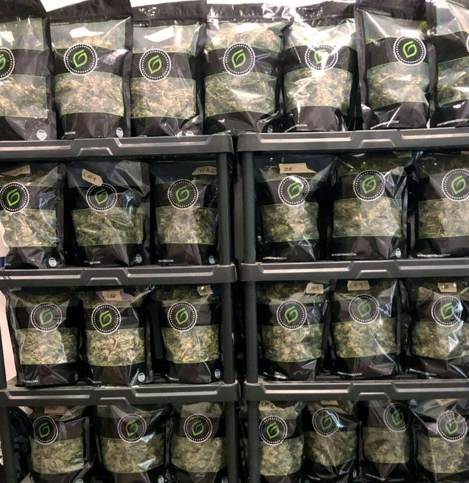 Grove Bags - TerpLoc Technology ~ Half Pound 1/2 Lb Bag - 8 Oz. ( pack ...