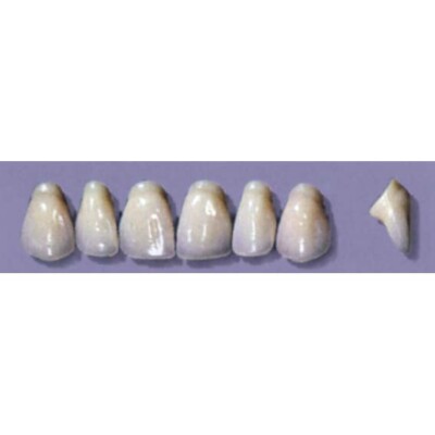 4 x Myerson Anterior Teeth Dental Prostheses Denture #PW4/60 (1 x 6 ...