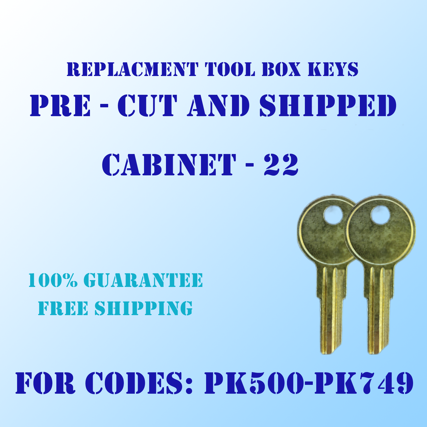 PK500-P749. Pair of replacement key for Toolbox locks, Pre Cut to your ...