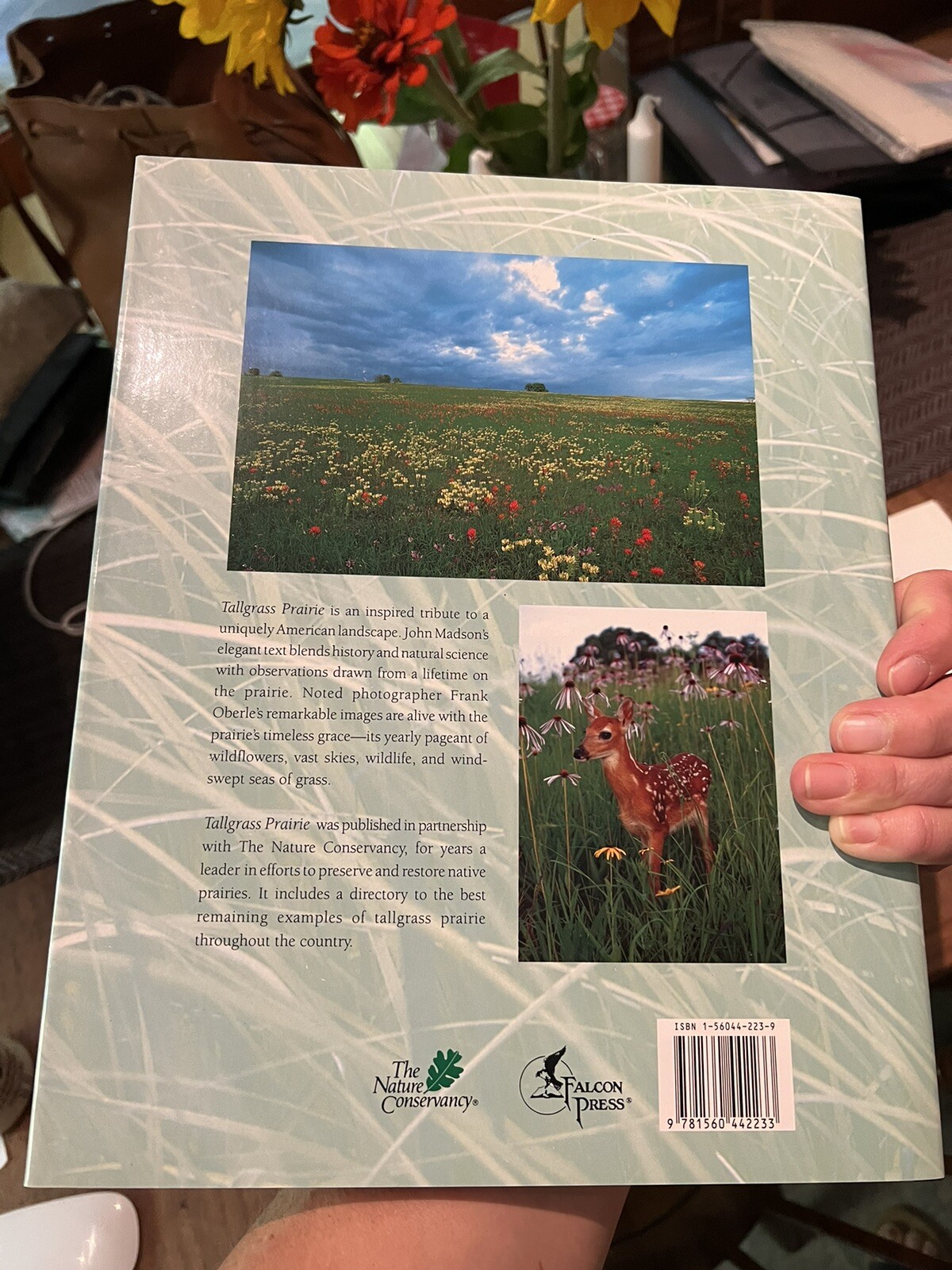 Tallgrass Prairie by John Madson and Falcon Guides Staff (1993, Trade ...