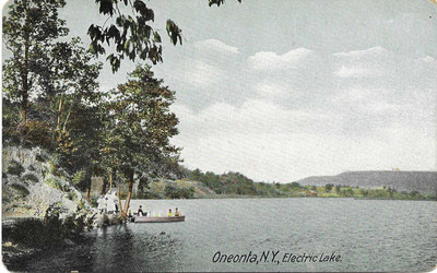 ELECTRIC LAKE, ONEONTA, NY POSTCARD | eBay