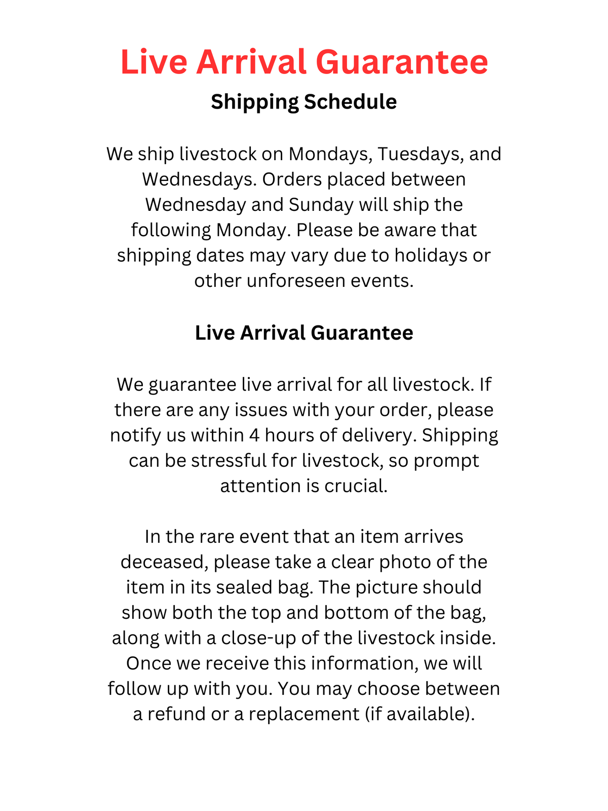 One Koi Butterfly Mayan Approx 3” | eBay