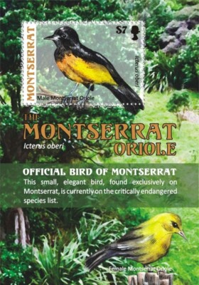 Montserrat 2009 - Birds Oriole - Souvenir Stamp Sheet - Scott #1217 ...