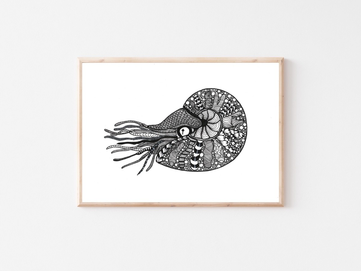 Nautilus Art Of Nautilus