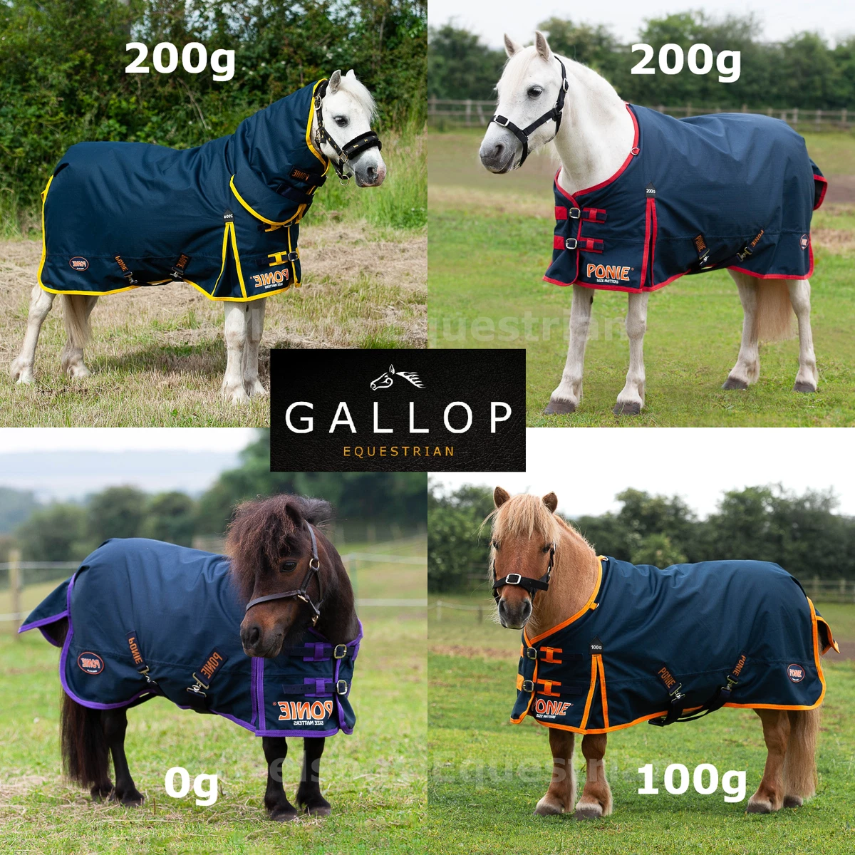 Shetland Pony Turnout Rugs | Bryont Blog