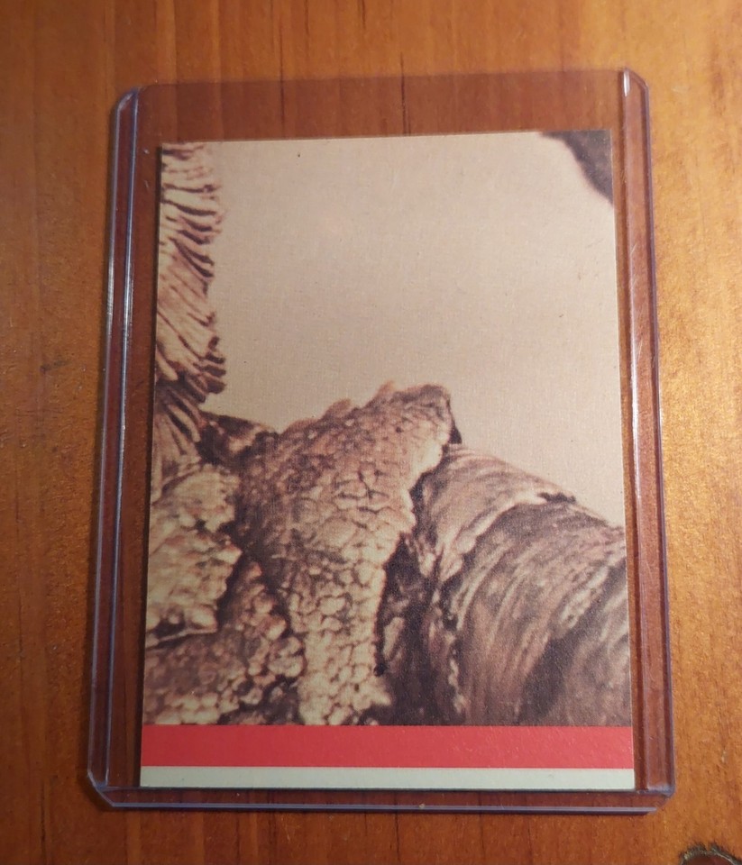 1980 TOPPS MONSTERS THE LAND UNKNOWN STICKER CARD -#19 MINTY HORROR ...
