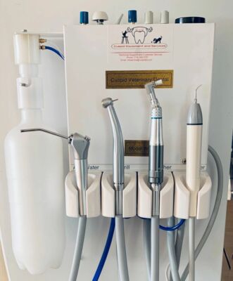 Dental Delivery Units- Control - Cabinet Mount Dental