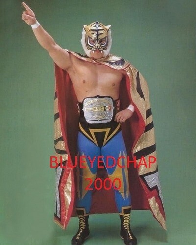 Tiger Mask V Wrestler