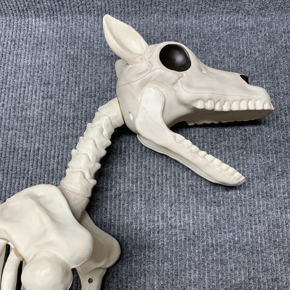 Halloween Mini Horse Pony Skeleton Decorative Prop Tractor Supply Viral ...