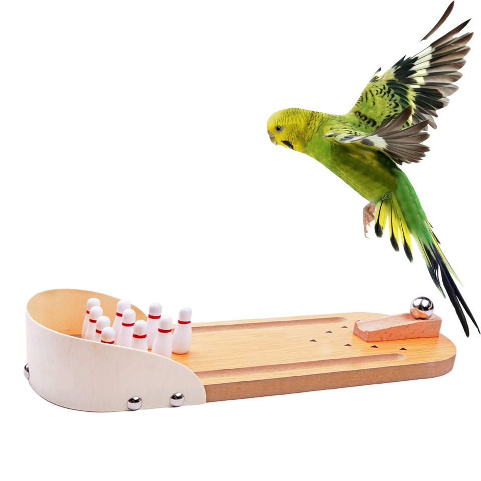 Mini juego de bolos de madera con mesa arcade para hombres, mujeres y ...