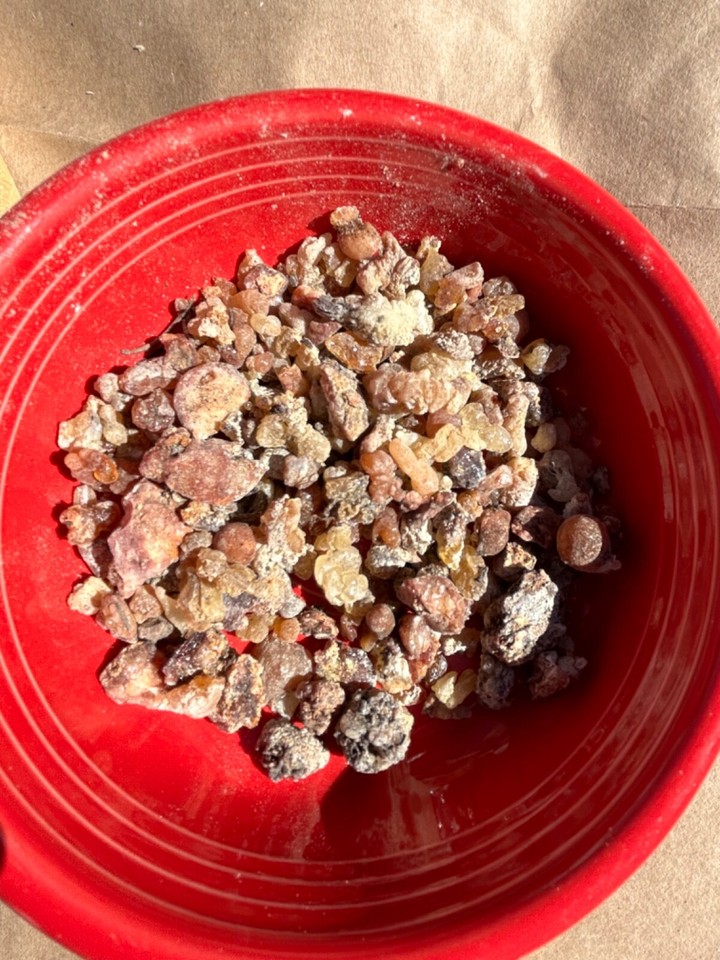 Pinion Pine Pitch Arizona Sustainably Harvested Resin Fire Starter ...