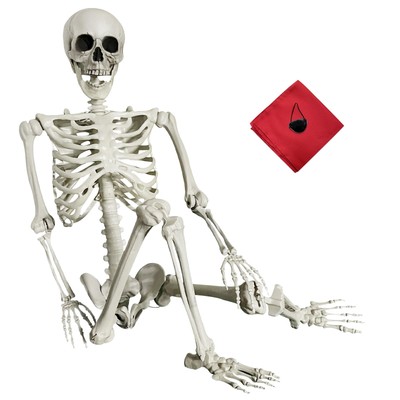 5.4Ft Halloween Skeleton - Life Size Full Body Realistic Human Bones ...