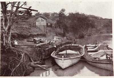 .1910 REAL PHOTO POSTCARD. WHEAT LOADING, RENMARK, MURRAY RIVER. | eBay ...