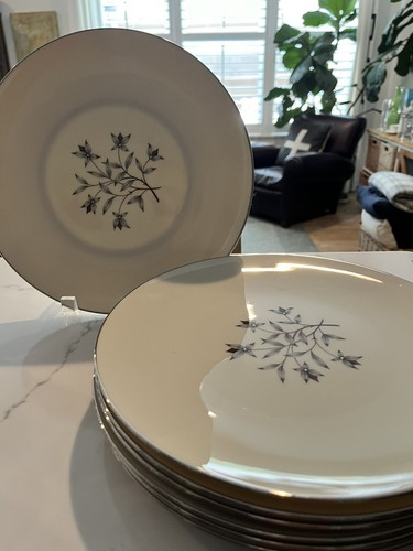 Lenox China Princess Pattern 10.5" Dinner Plates X516 Platinum Band | eBay