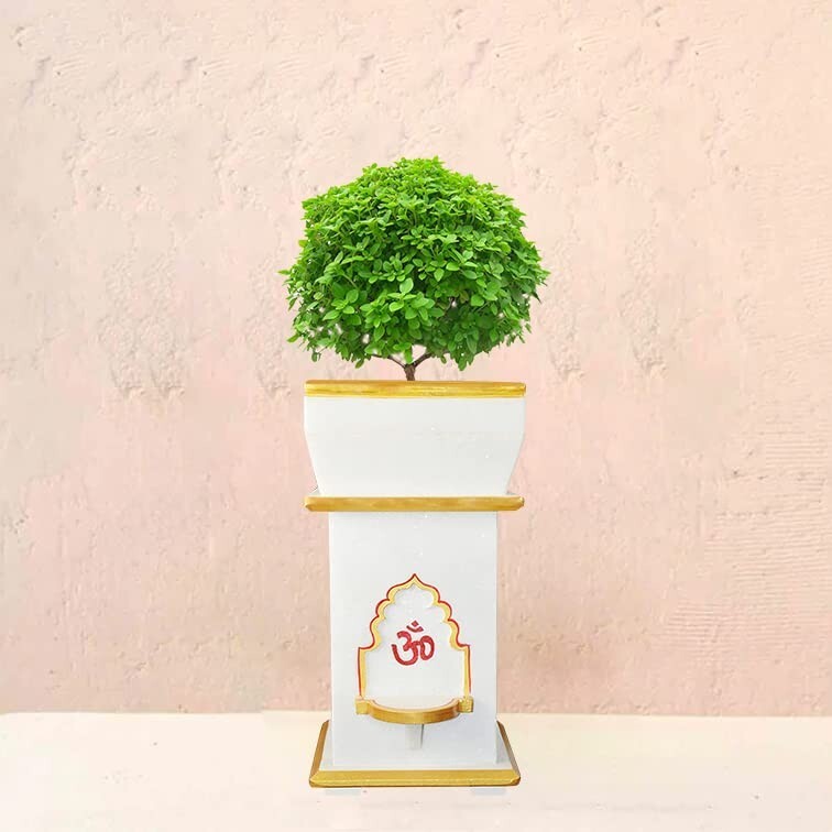 Tulsi Plant Pot Designs