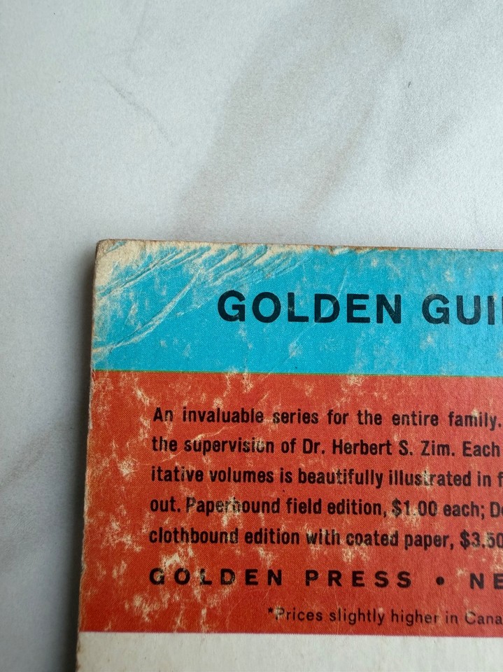 Walt Disney's BIG RED Vintage Little Golden Book 1962 "A" 1st Edition ...