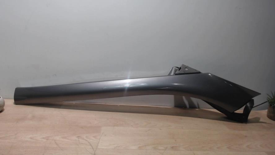 Baie de pare brise RENAULT SCENIC 3 PHASE 1 668110005R | eBay