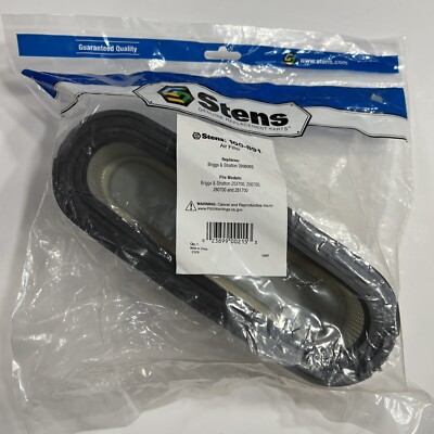 New Stens Air Filter 100-891 For Briggs & Stratton 399806S | eBay