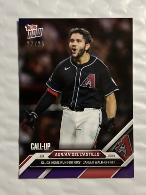 Adrian Del Castillo - 2024 MLB TOPPS NOW Card 538 CALL-UP - 1st HR ...
