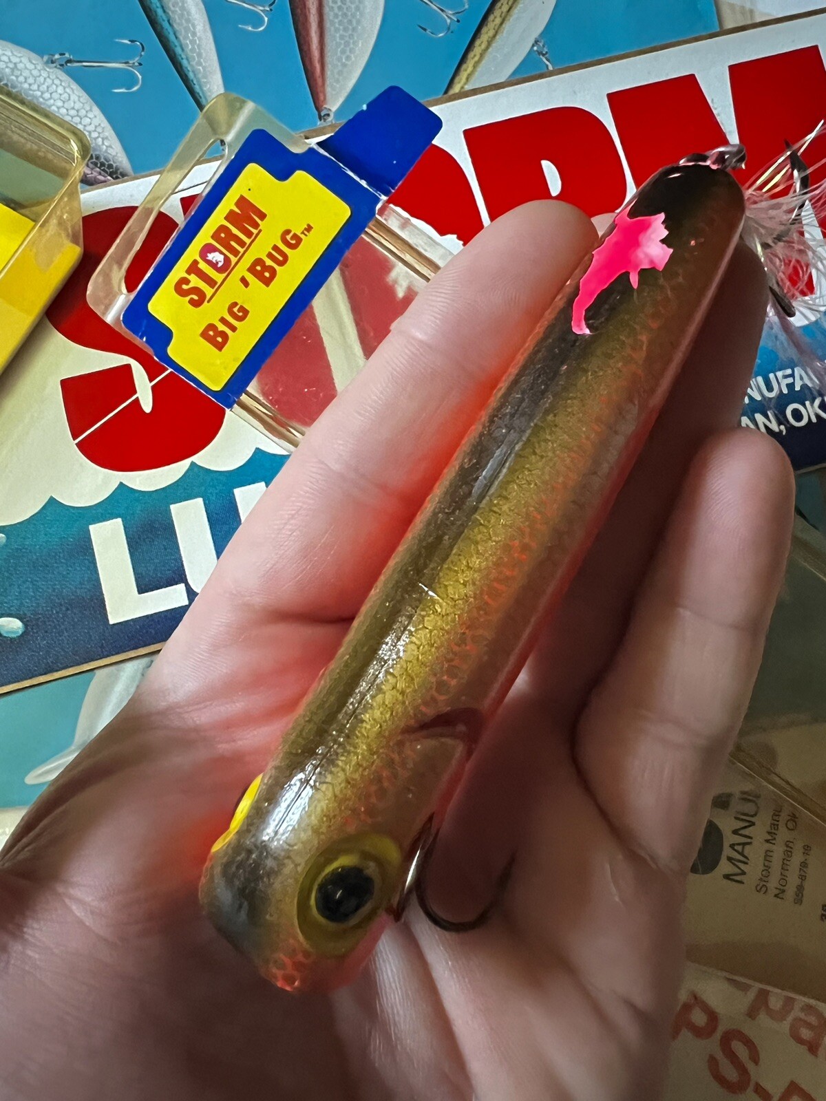 Rare Color Chug Bug Big Bug Storm Pre Rapala Lure 96 Color Code TOUGH ...