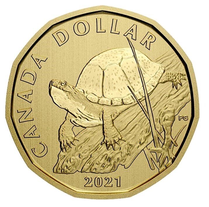 🇨🇦 Rare Canada $1 Dollar Coin Loonie, Fauna, BLANDING'S TURTLE Mint UNC ...